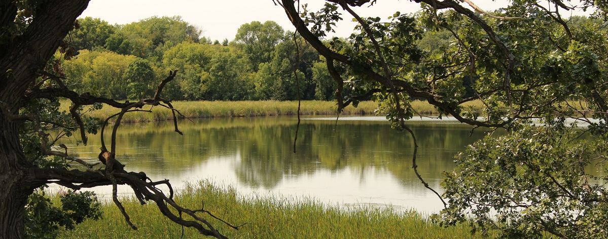 Hartman Communities Lakepoint Victoria MN | Hartman Communities